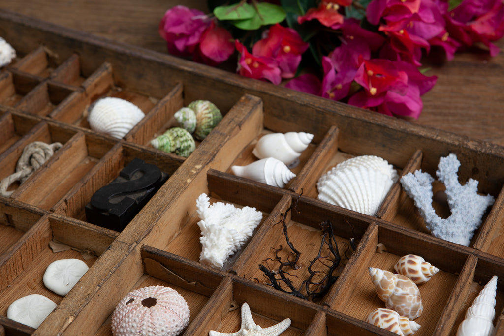 Styling A Printer's Tray