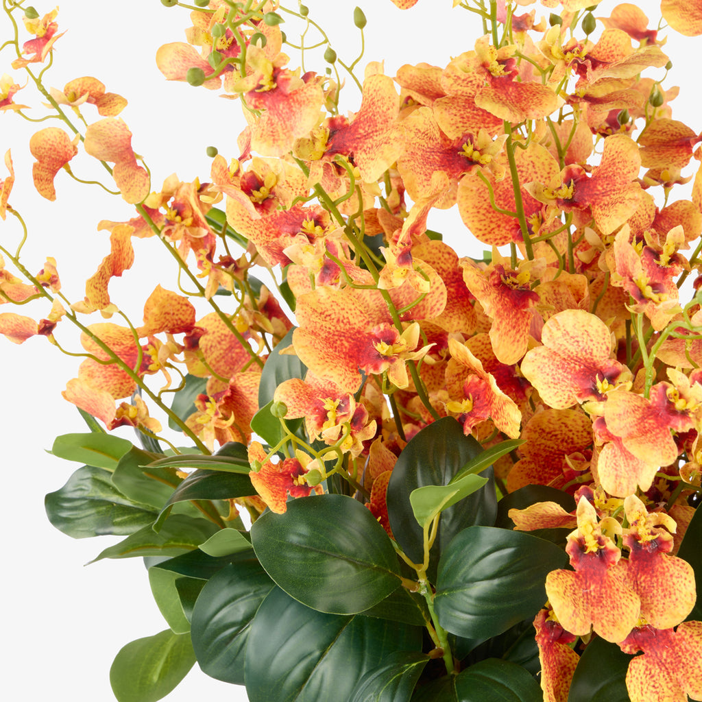 Artificial Orchid In Madelyn Bowl (Orange) | Faux Flowers