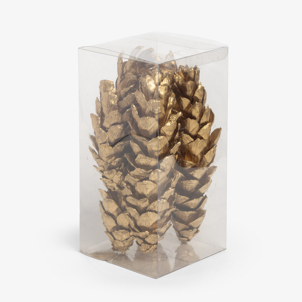 Pinecones In Box Large (Gold) | Christmas Decorations