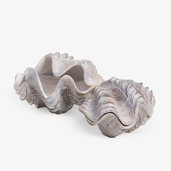 Décor | Resin Clam Set | Alfresco Emporium
