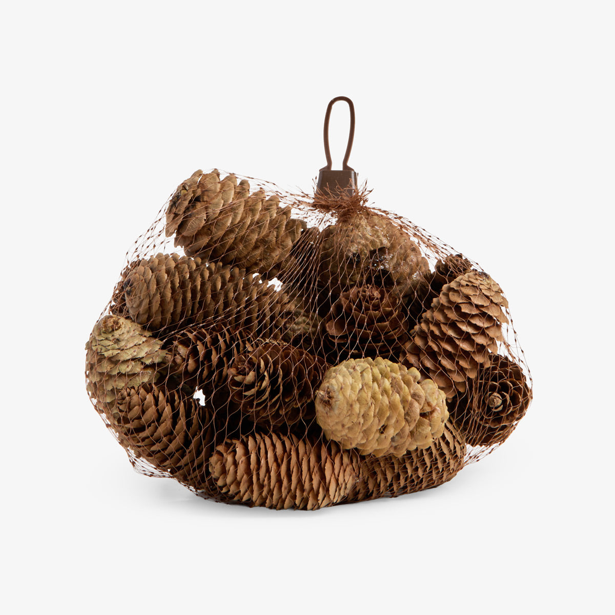 Dragon Spruce Pinecones (Long) | Real Pinecones for Decorating