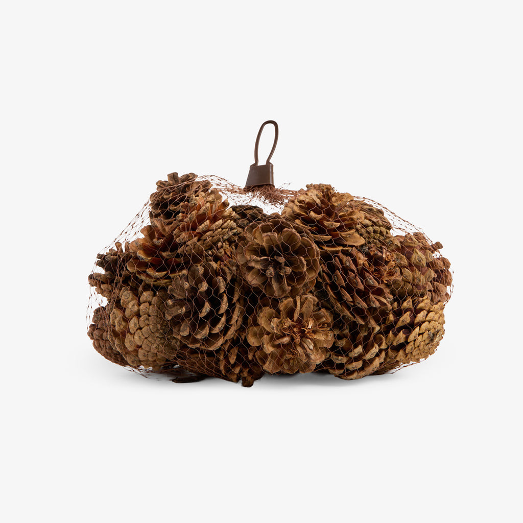 Evergreen Pinecones (Round) | Real Pinecones for Christmas Décor