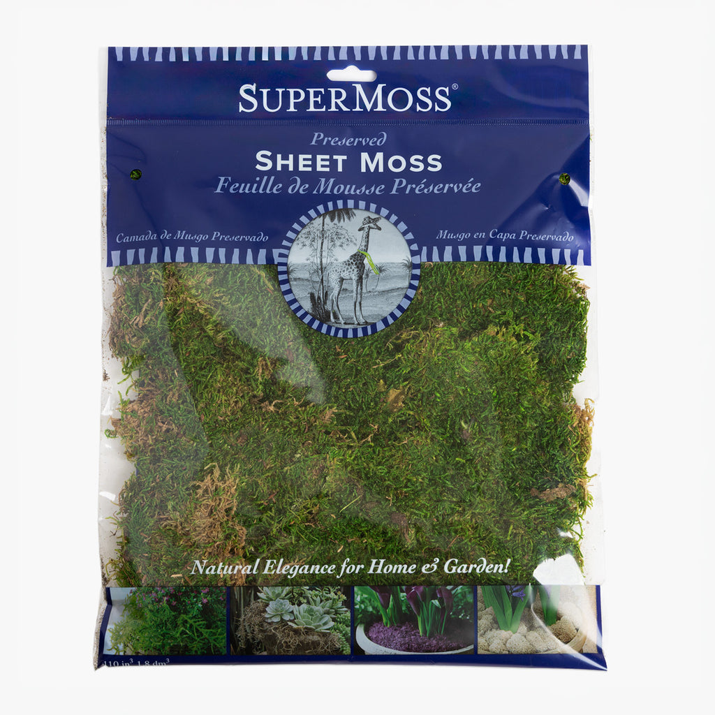 Sheet Moss Dark Green 55g | Real Preserved Moss for Floral Styling