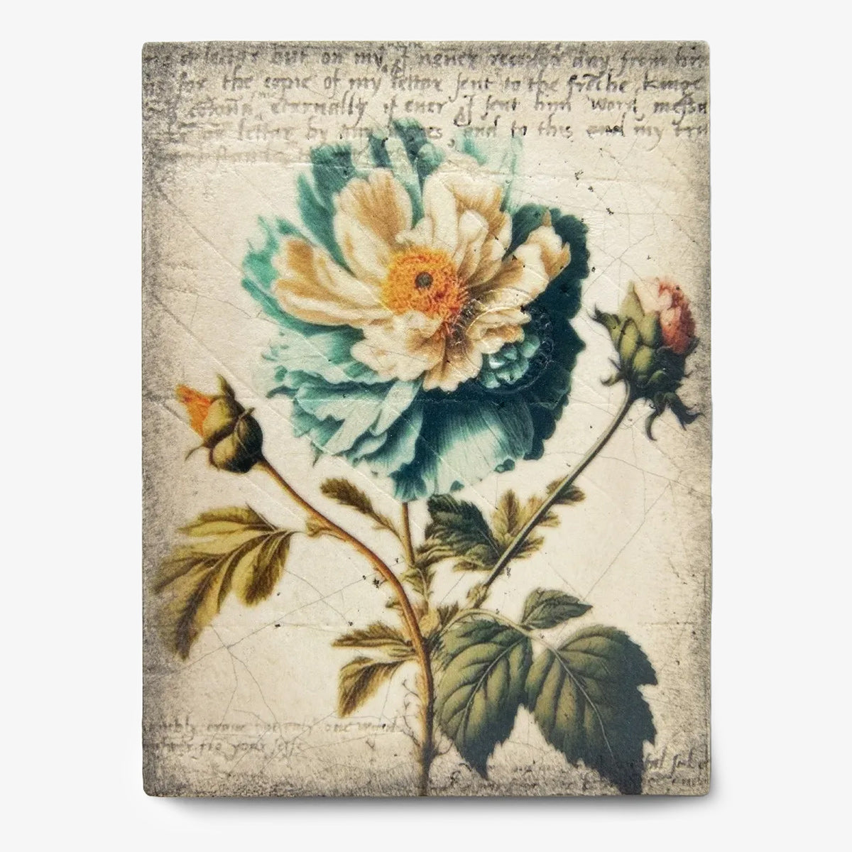 Wall Art | Sid Dickens Memory Blocks | Alfresco Emporium