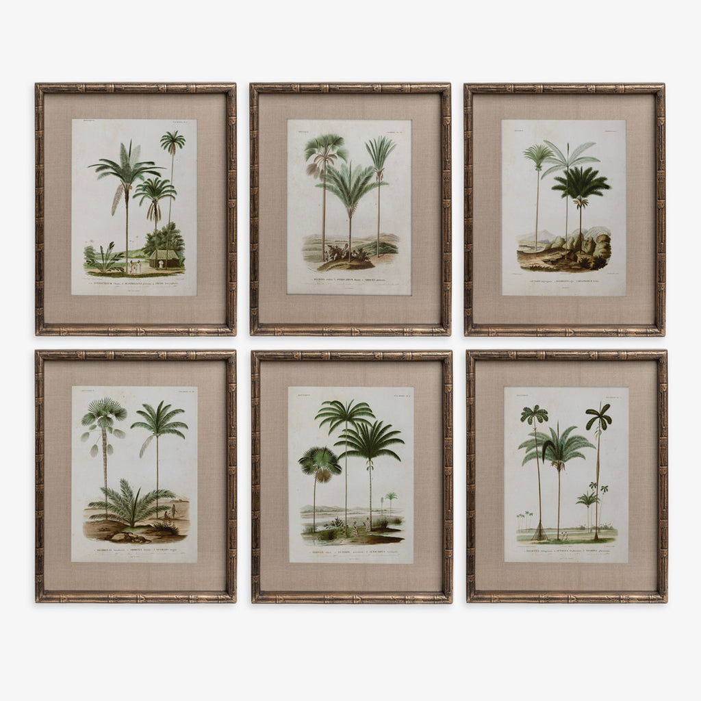 Vintage Palm Print 6 | Framed Tropical Artwork